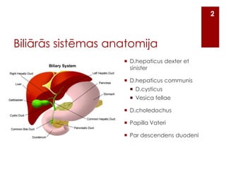 Biliārā atrēzija pediatrijā | PPTX