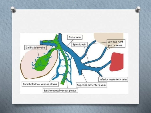 Biliary Anatomy, ATRESIA , CHOLEDOCHAL CYST.pptx