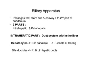 Biliary apparatus | PDF