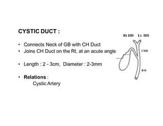 Biliary apparatus | PDF