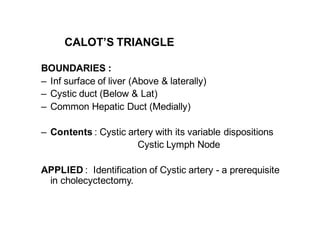 Biliary apparatus | PDF