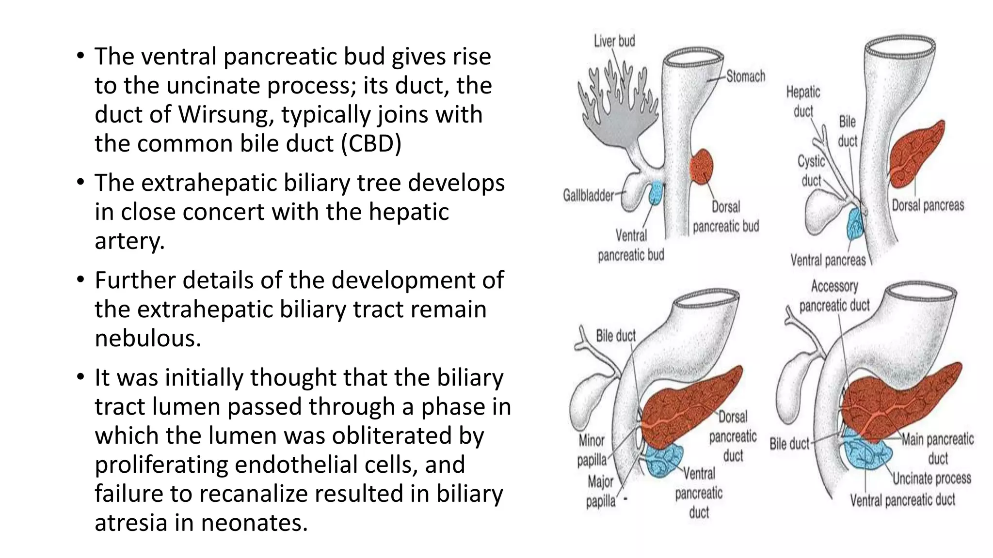 Biliary atresia | PPTX