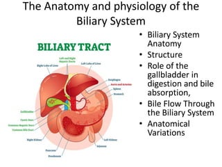 Biliary dyskinesia.pptx | Digestive Disorders | Diseases and Conditions