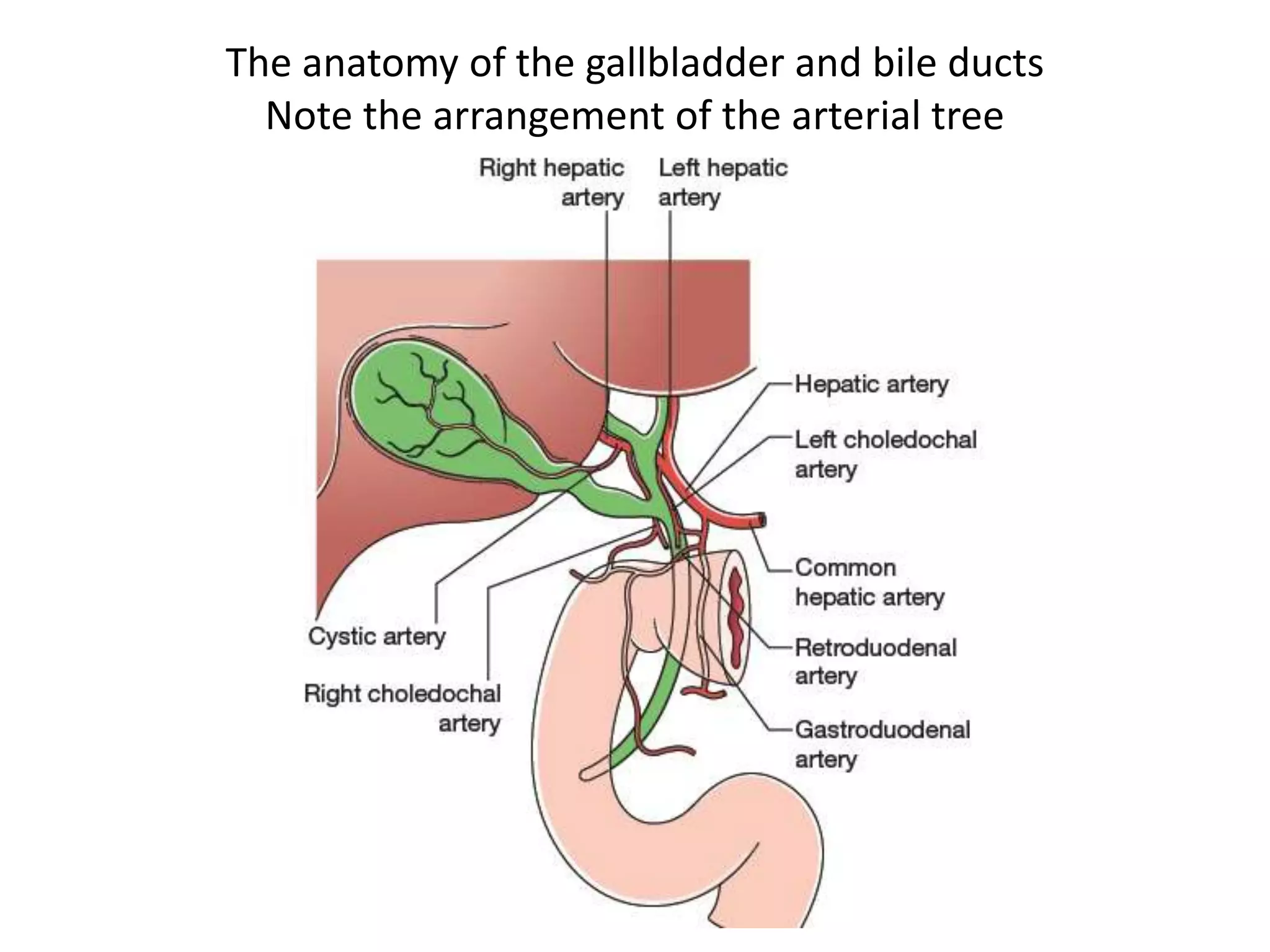 Biliary pathology Bailey 28th edn.pptx
