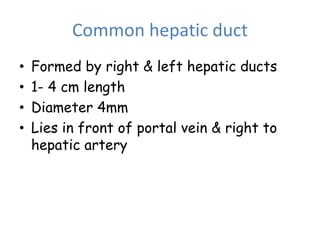 Biliary system anatomy,physiology & investigations | PPTX