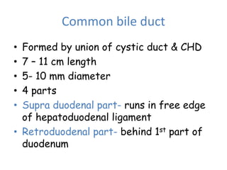 Biliary system anatomy,physiology & investigations | PPTX