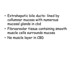Biliary system anatomy,physiology & investigations | PPTX