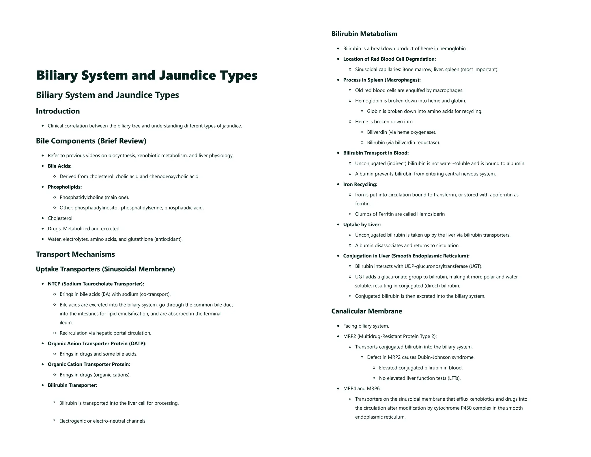 Brief review of Biliary System and Jaundice Types.pdf