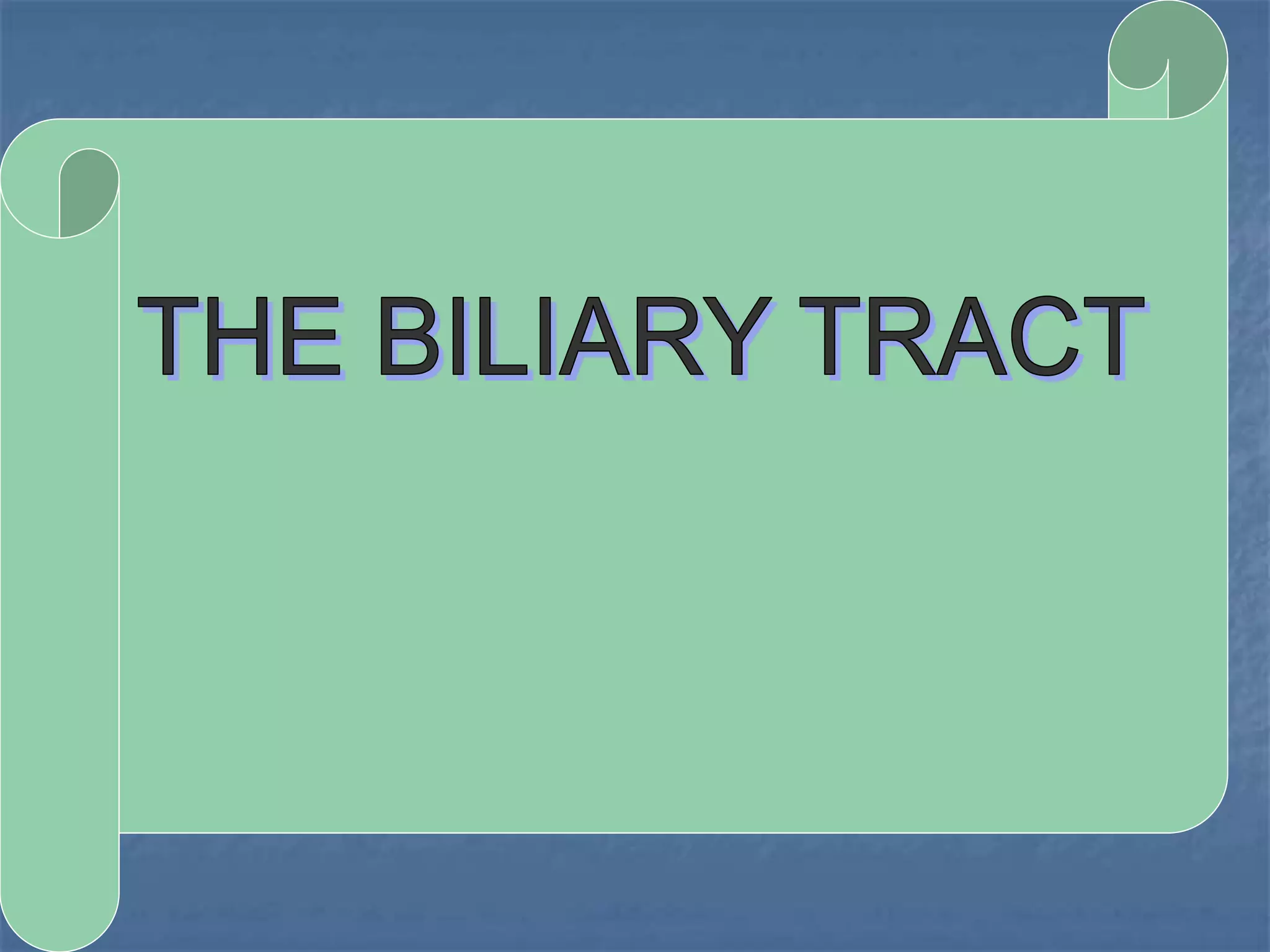 Biliary tract | PPT