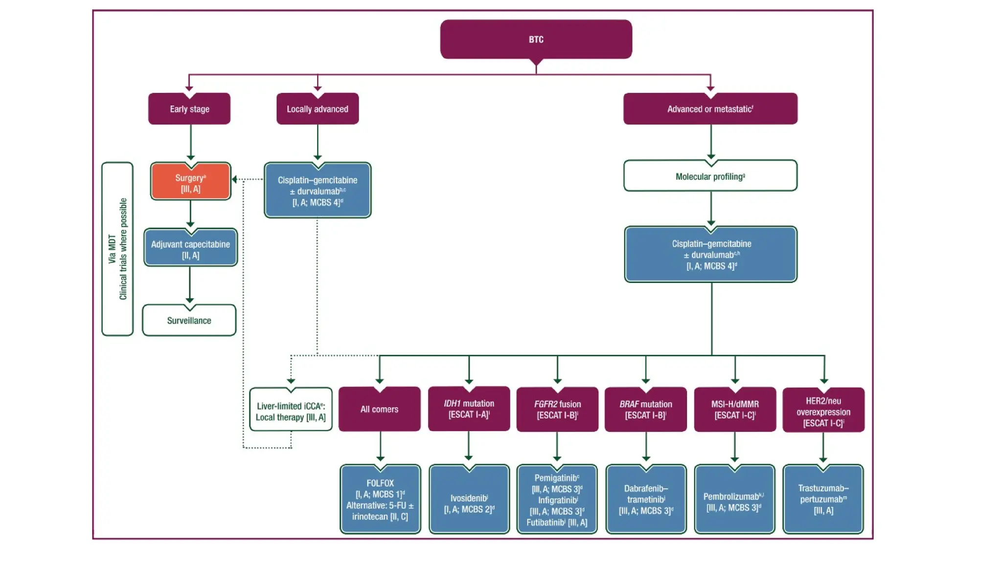 BILIARY TRACT CANCERS - molecular pathology.pptx