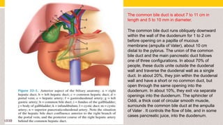 Biliary Tract Diseases.ppt