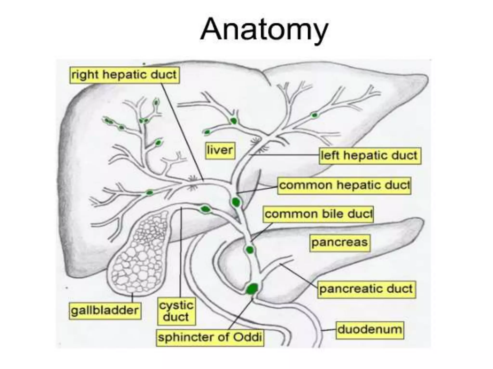 Biliary tract imaging final........... | PPTX