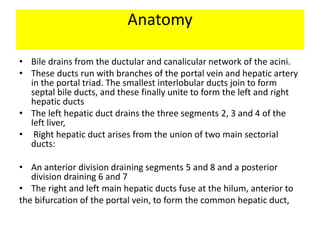 Investigation of Biliary Tract | PPTX