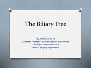 Surgical anatomy of biliary tree | PPTX