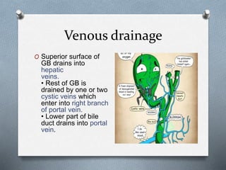 Surgical anatomy of biliary tree | PPTX