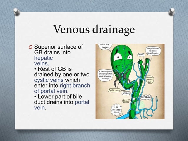 Surgical anatomy of biliary tree | PPTX | Lung and Respiratory Health ...