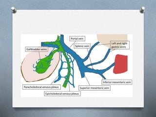 Surgical anatomy of biliary tree | PPTX