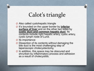 Surgical anatomy of biliary tree | PPTX