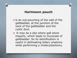 Surgical anatomy of biliary tree | PPTX | Lung and Respiratory Health ...