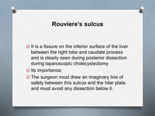 Surgical anatomy of biliary tree | PPTX