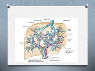 Surgical anatomy of biliary tree | PPTX