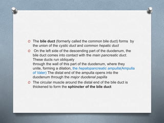 Surgical anatomy of biliary tree | PPTX