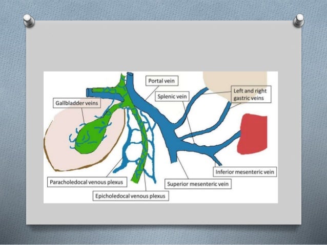 Surgical anatomy of biliary tree