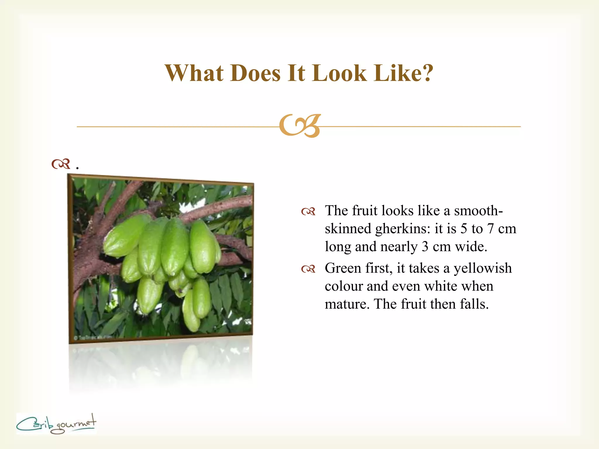 What is Blimbing? What is Bilimbi? What is Averrhoa bilimbi? | PPTX