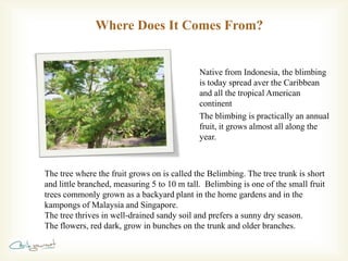 What is Blimbing? What is Bilimbi? What is Averrhoa bilimbi? | PPTX