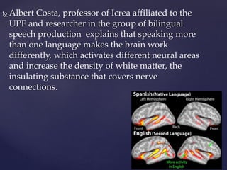 Bilingual brain slides alexis ramirez cardenas | PPTX | Brain and ...