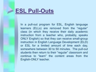 Bilingual Education.ppt