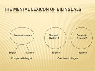 Bilingualism | PPTX