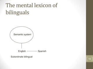 Bilingualism: Definitions and Issues | PPTX