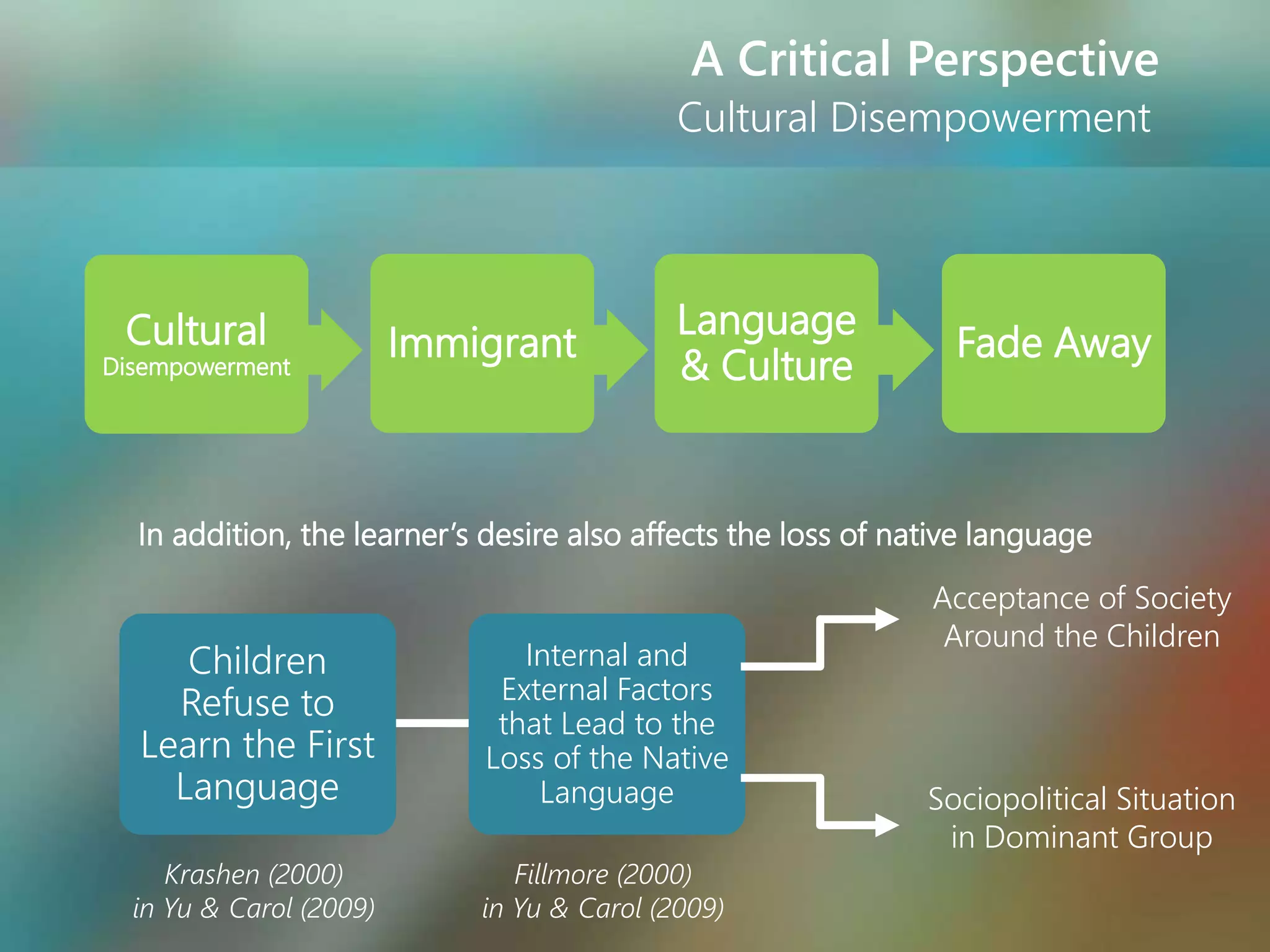 Bilingualism education (A Critical Perspective – Language Hegemony ...