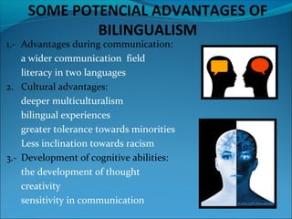 Bilingualism laminas | PPT | Education