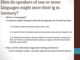 Bilingual memory storage | PPTX