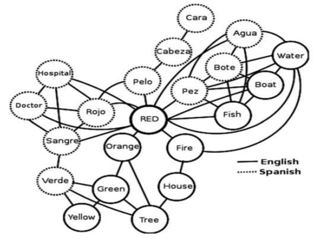 Bilingual memory storage | PPT
