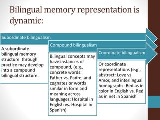 Bilingual memory storage | PPTX