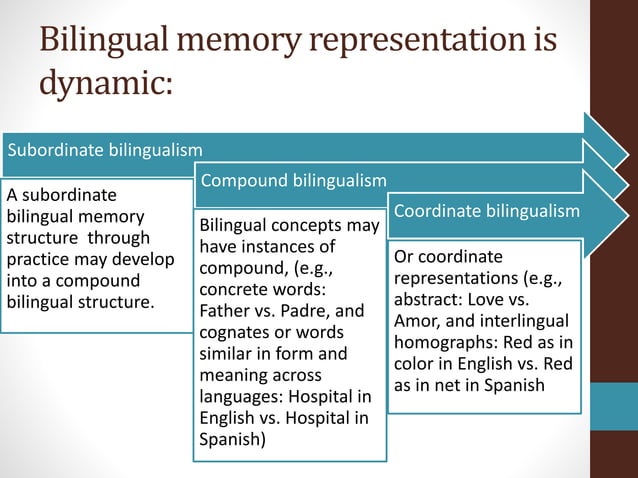 Bilingual memory storage | PPT