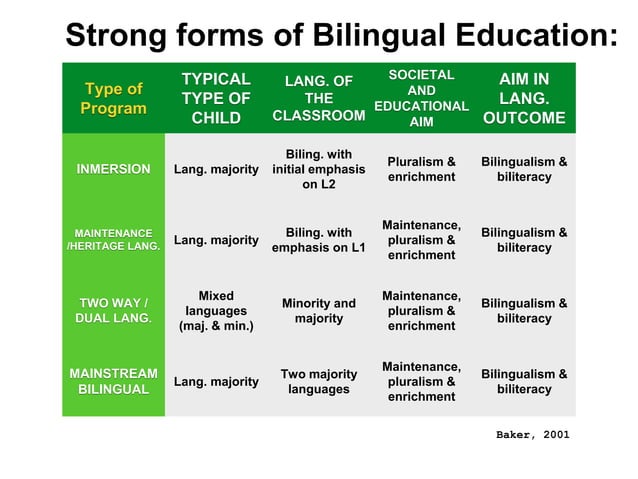 Bilingual models 2 | PPTX