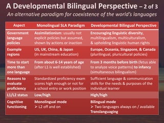 bilingual_perspectives.pptx