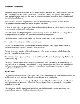 Bilirubin | DOCX