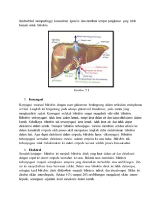 Bilirubin | DOCX