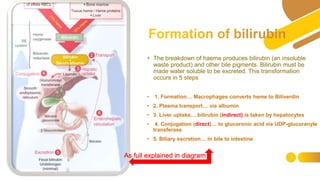 Bilirubin | PPTX