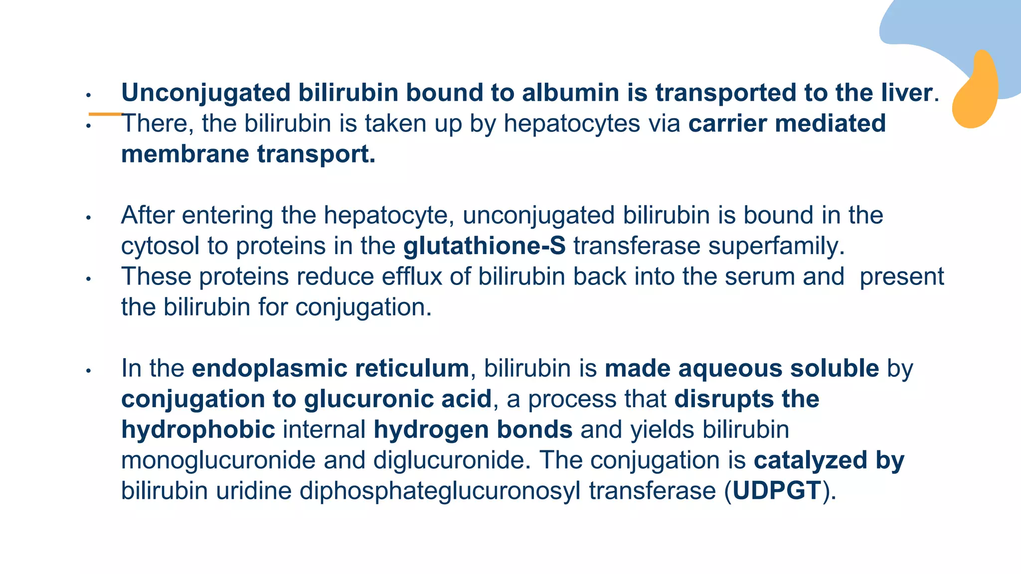 Bilirubin-metabolism.pptx