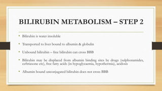 BILIRUBIN A nd NEONATAL JAUNDVVVVICE.pptx