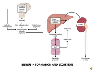 Bilirubin estimation | PPTX