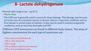 JAUNDICE & LIVER FUNCTION TESTS | PPTX