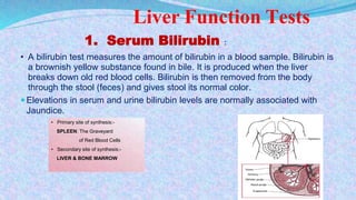 JAUNDICE & LIVER FUNCTION TESTS | PPTX | Endocrine and Metabolic ...