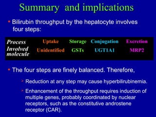 BILIRUBIN MEABOLISM & JAUNDICE ( Lecture 6).ppt